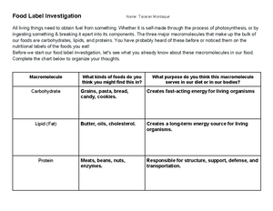 Lizard Evolution Virtual Lab Student Worksheet 1-1 - Student Handout ...
