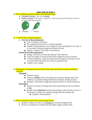 BIOL191 Unit 5 Study Guide - BIOL191: Unit 5 Study Guide Use this study ...