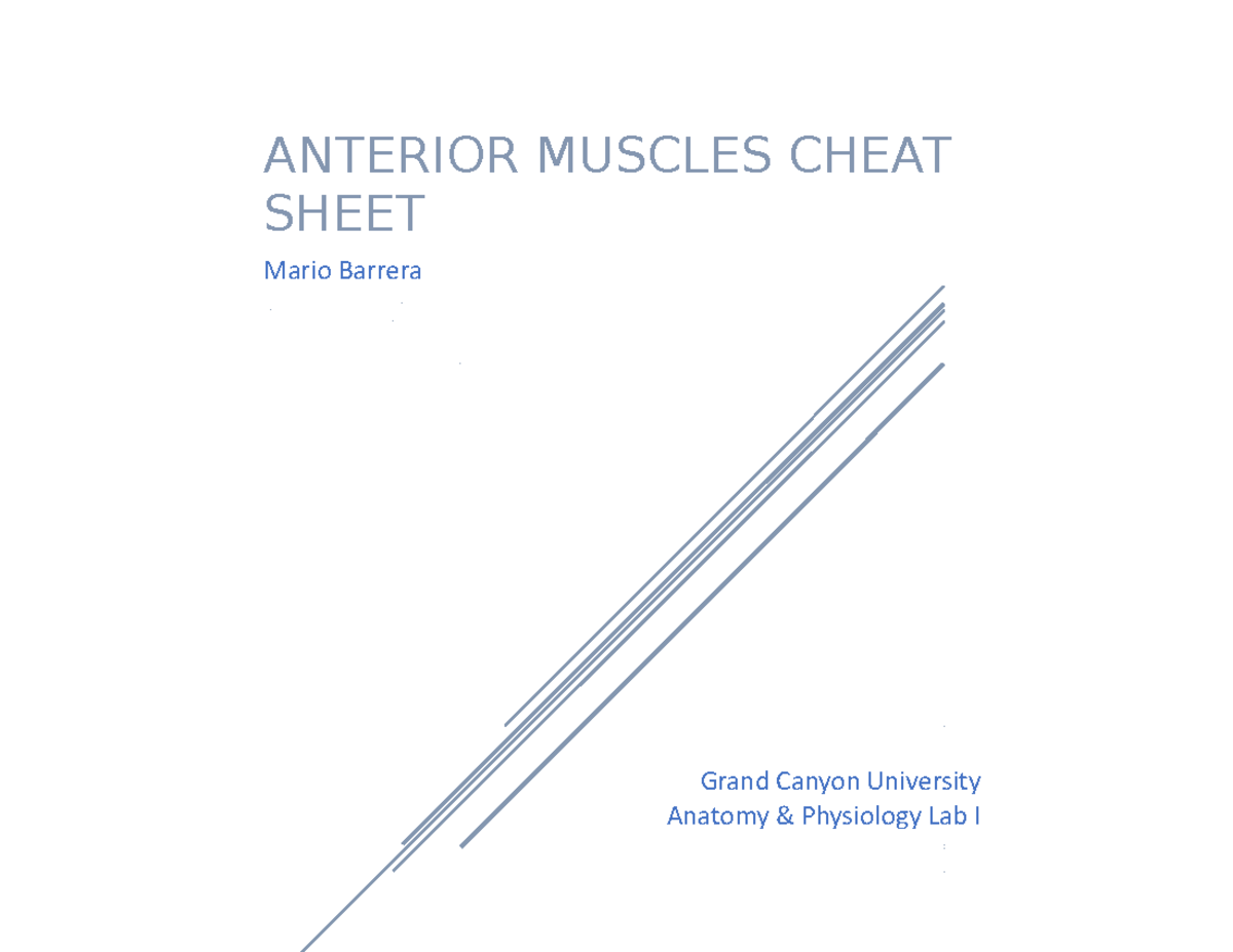 Anterior Muscles OIA Cheat Sheet (Short) - ANTERIOR MUSCLES CHEAT SHEET ...