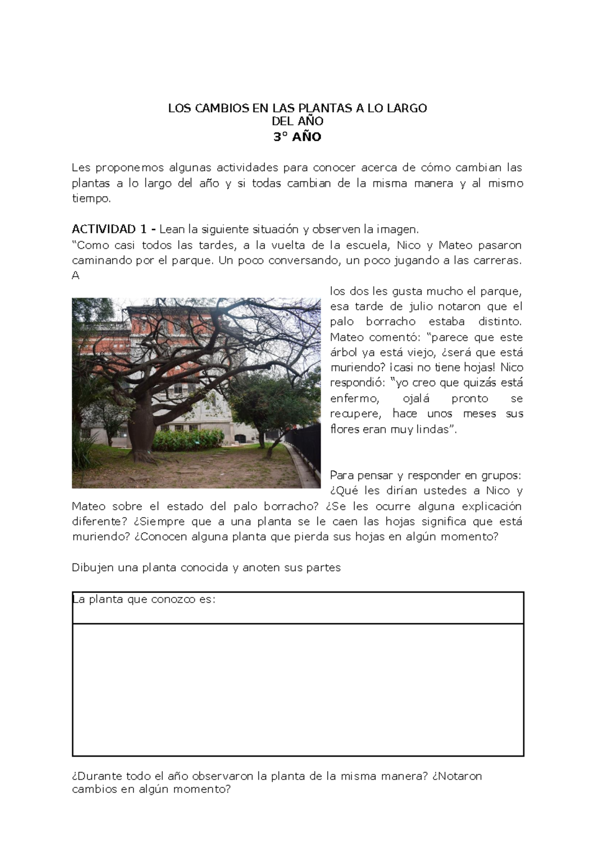 3RO - LAS Plantas Y SUS Cambios - Estudiantes - La planta que conozco ...