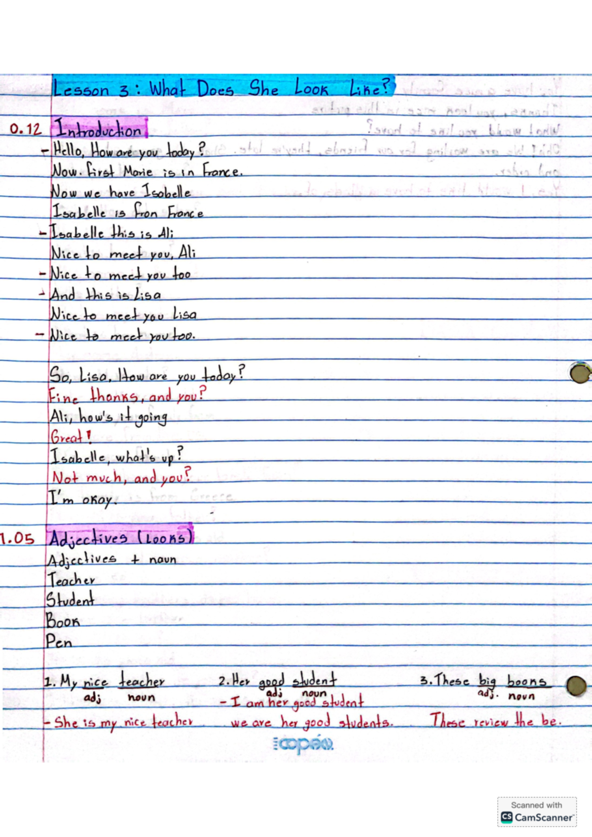 Lesson 3. What does she look like - Lesson 3: What Does She Look Like ...