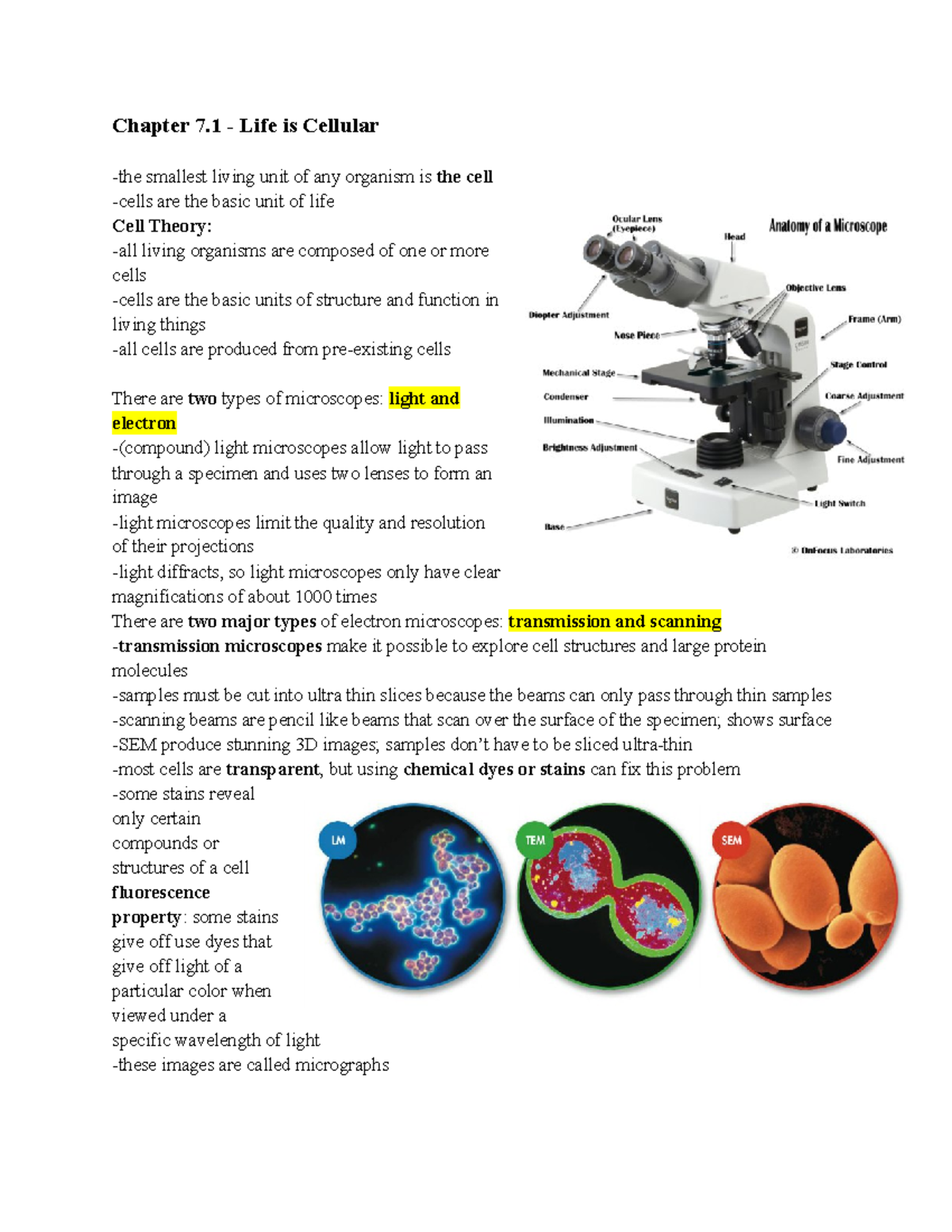 Chapter 7 Notes - Chapter 7 - Life is Cellular -the smallest living ...
