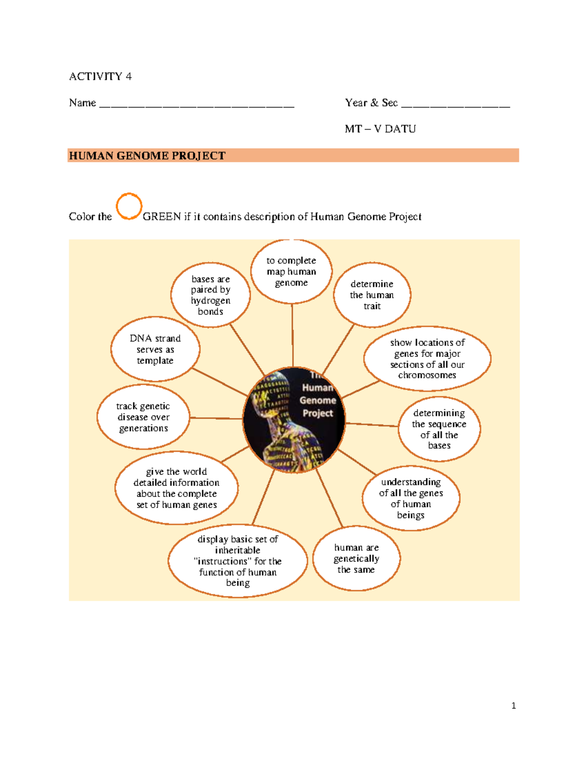 Activity 4 - 1 ACTIVITY 4 Name __________________________________ Year ...