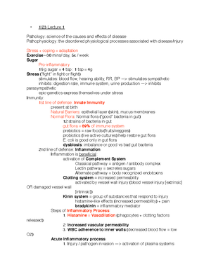 How to catheter insertion - PERI care (verbal) ⁃ introduce yourself ...