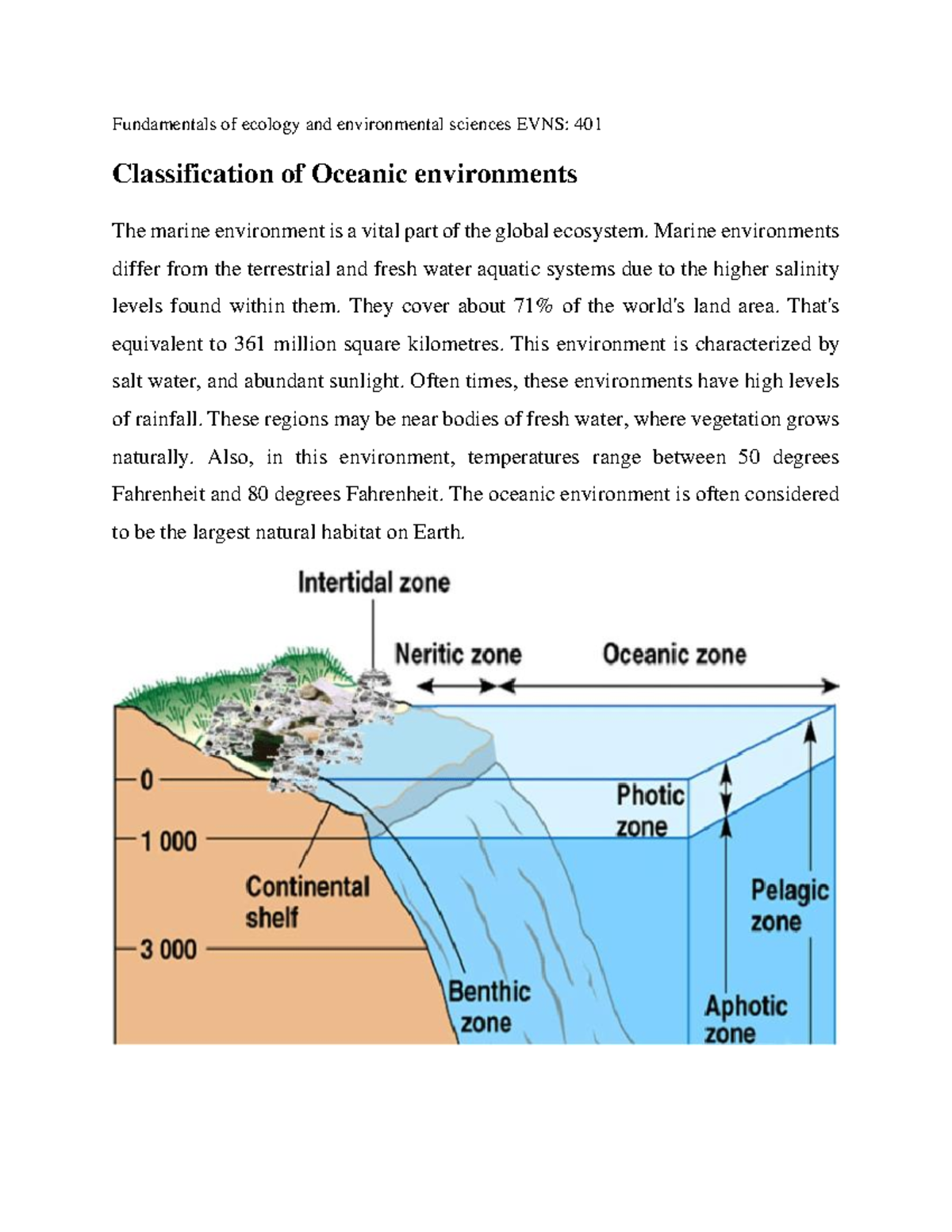 Classification of Oceanic environments - Marine environments differ ...