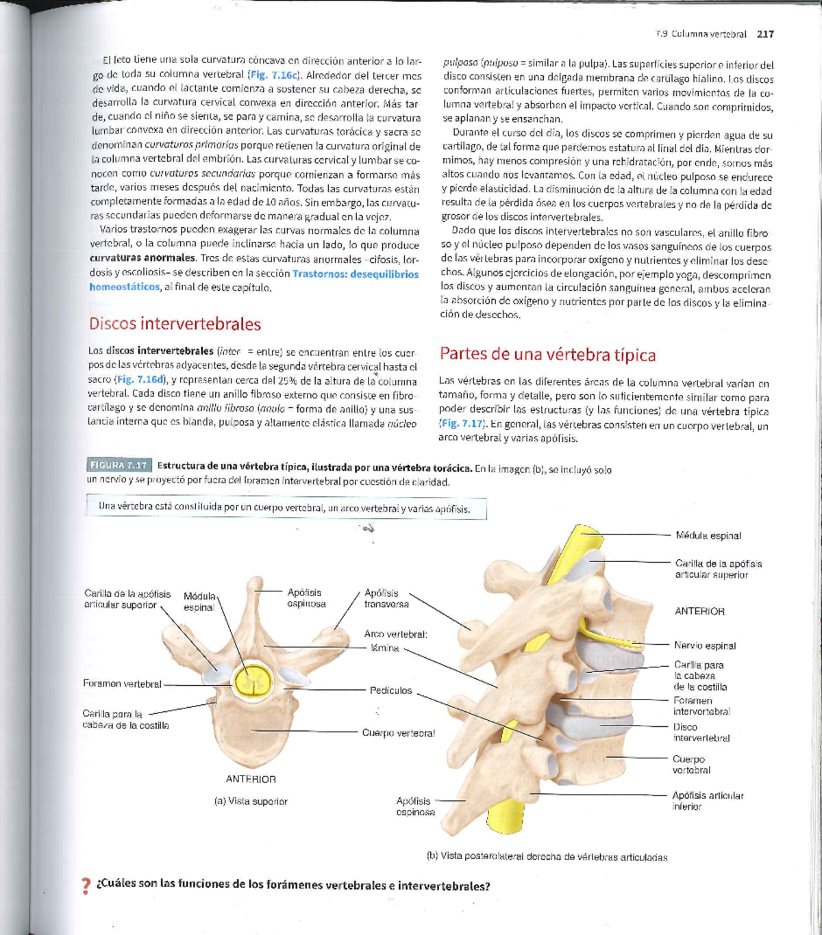 Principios de Anatomía Y Fisiología Tortora 15 ed-part 2 - Fisiologia ...
