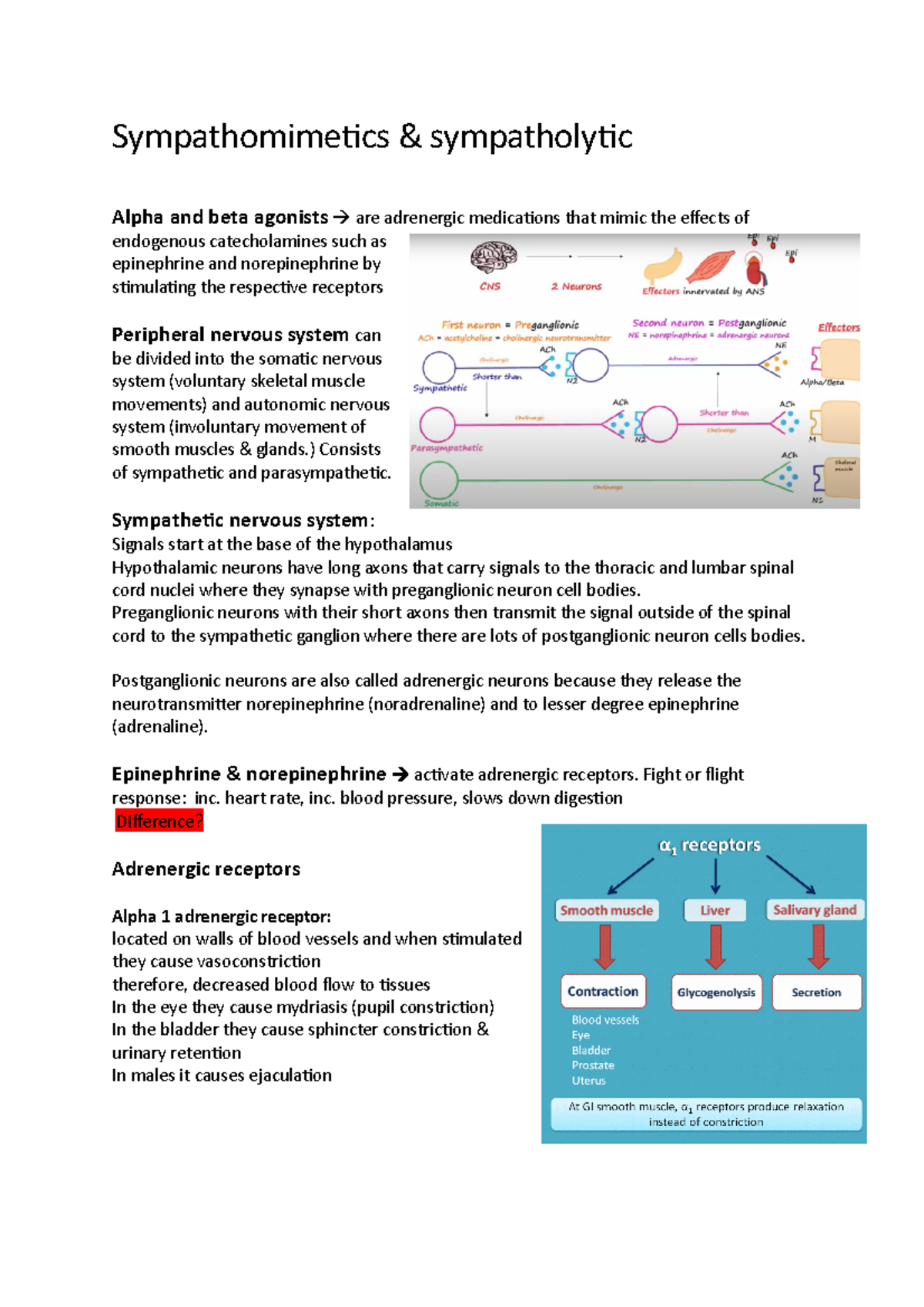 Pharmacology: Sympathomimetics & sympatholitics - Sympathomimetics ...