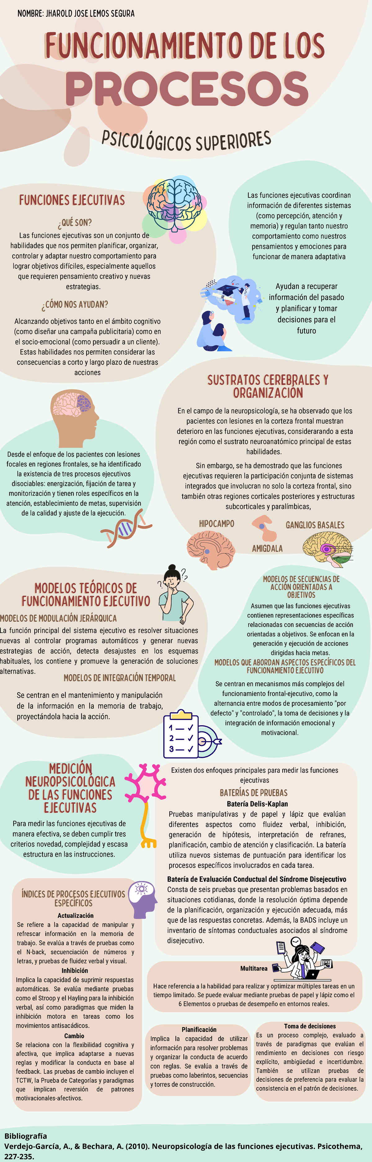 Infografia funcionamiento de los procesos psicológicos superiores ...
