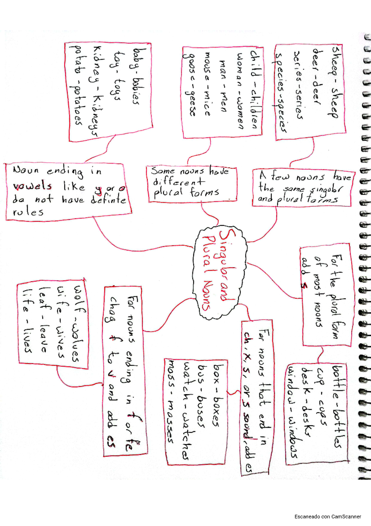Singular And Plural Mindmap - sheeq sheep For the plural form bottle bottles of most noons cup ...