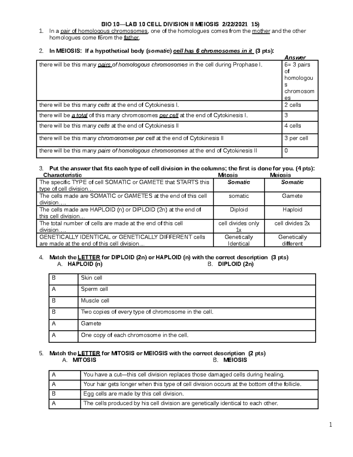 Hart Bio 10 Cell Div- Meiosis Activity Assignment 2-22-2021 - Google ...