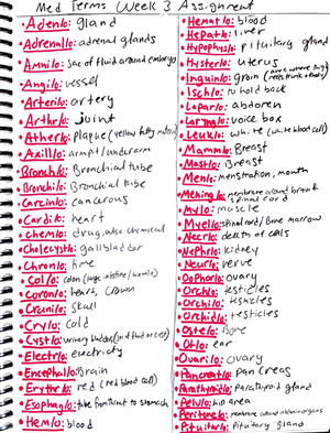 Medical Terminology pt. 1 - Medical Terminology Learning Activities ...