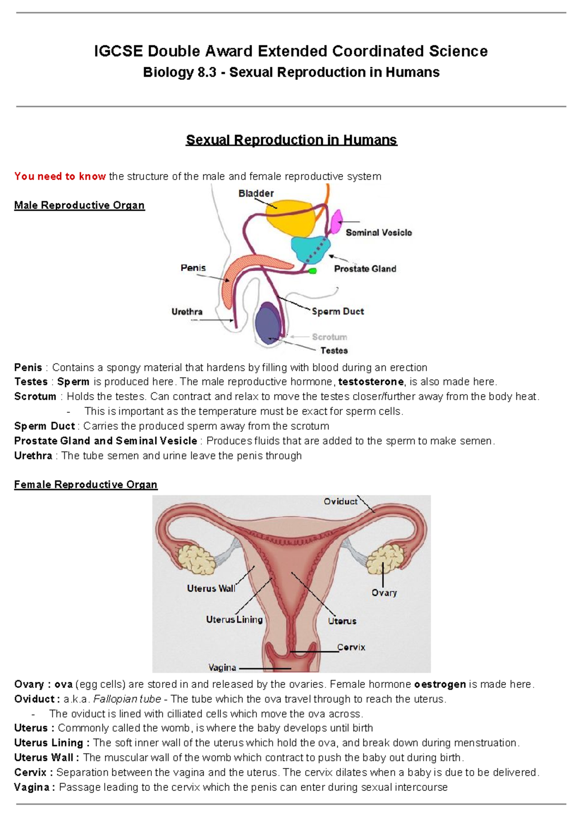 B8 3 sexual reproduction in humans - IGCSE Double Award Extended ...
