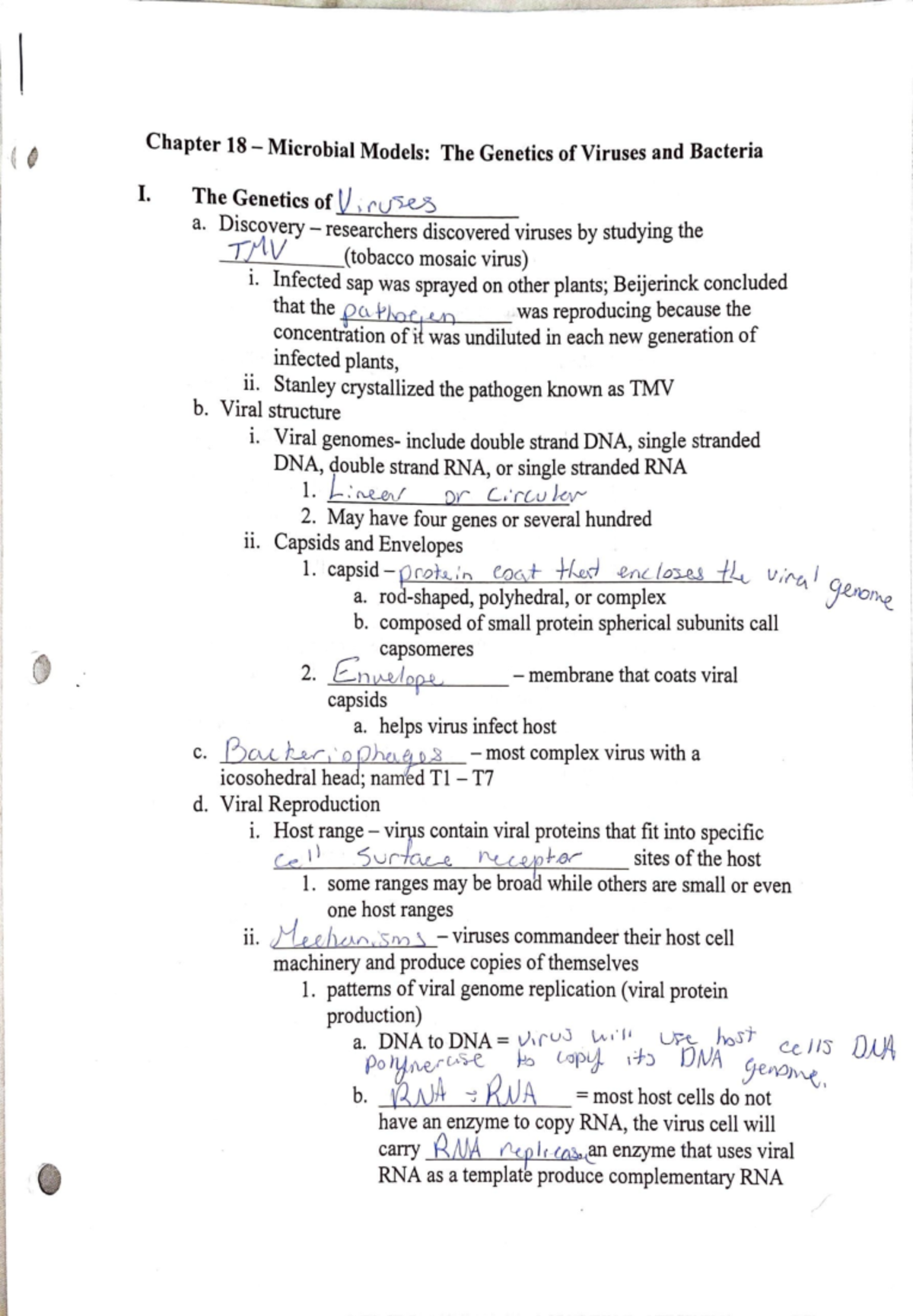 Microbial models, the genetics of viruses and bacteria - Chapter 18 ...