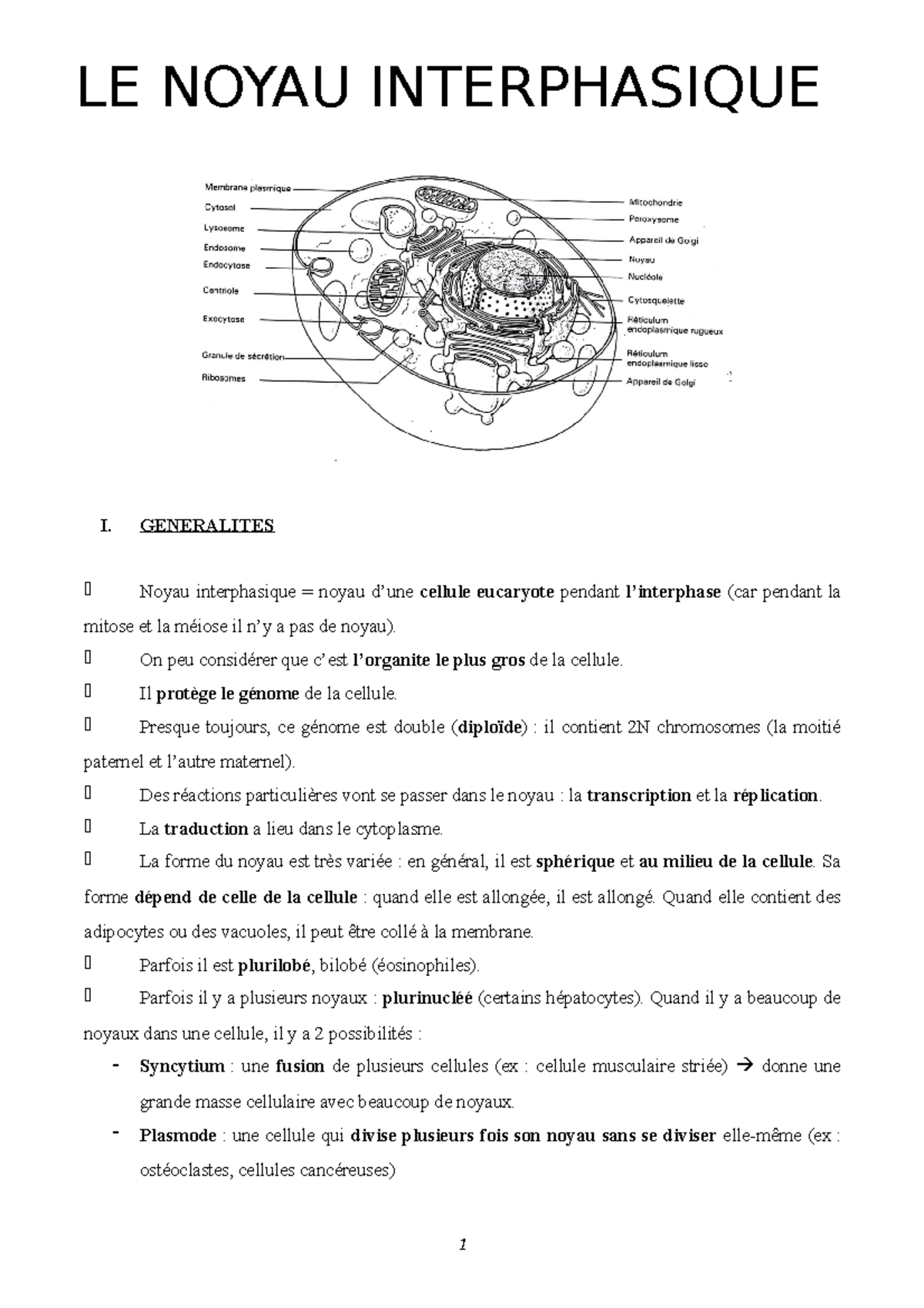 Ch2 Le noyau interphasique - LE NOYAU INTERPHASIQUE I. GENERALITES ...