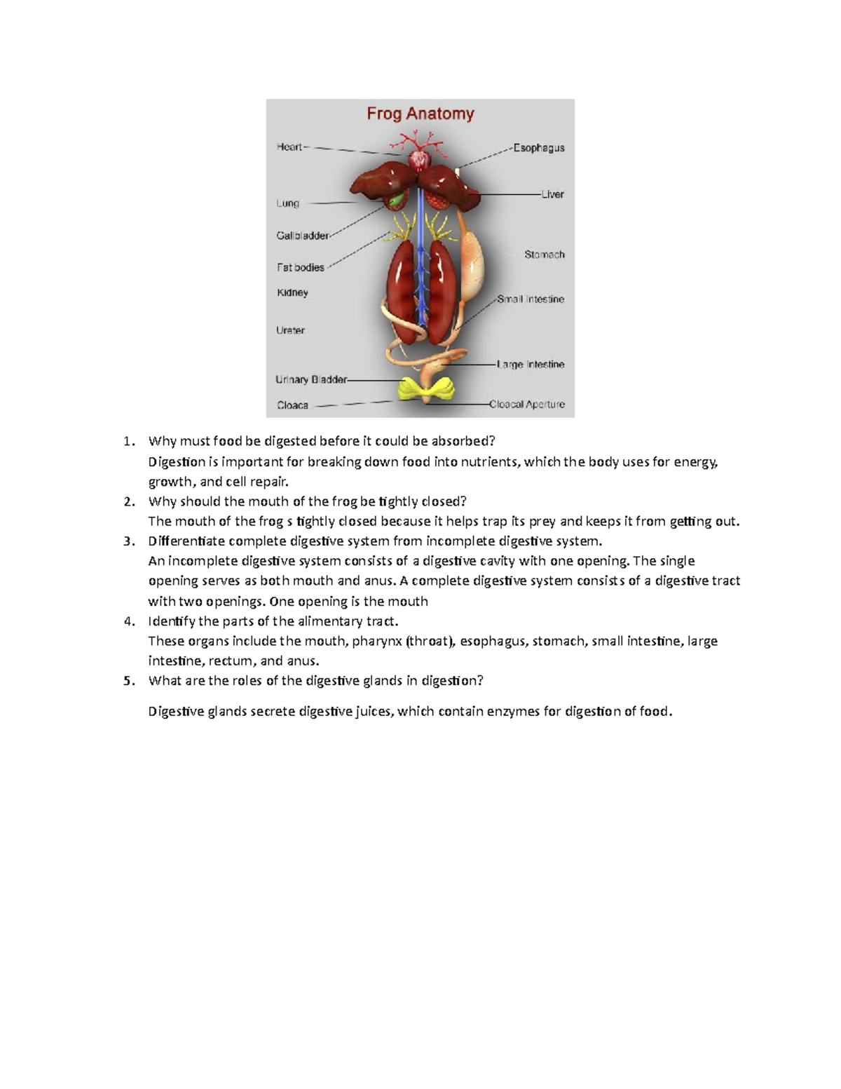 M3A5 POST LAB - ACTIVITY - Why must food be digested before it could be ...