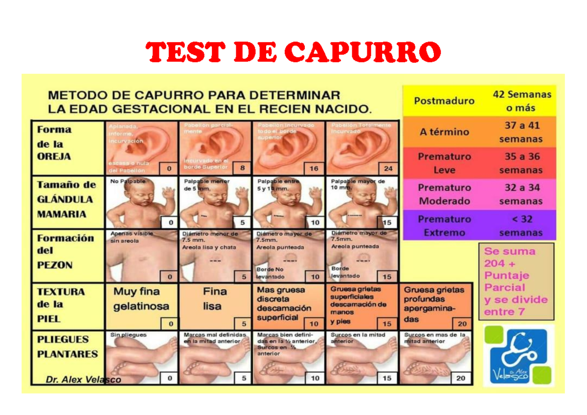 TEST DE Capurro - Licenciatura en enfermeria - TEST DE CAPURRO ...
