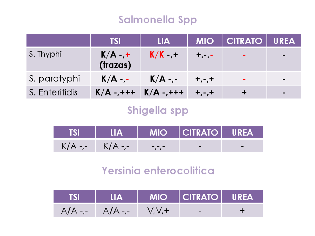 Baterías Bioquímicas - Salmonella Spp Shigella spp Yersinia ...