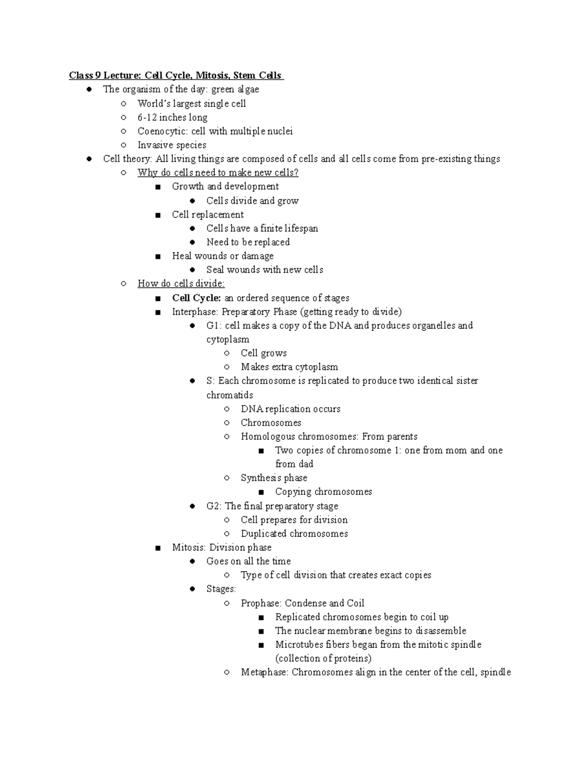 Mitosis Stem Cells - Class 9 Lecture: Cell Cycle, Mitosis, Stem Cells ...