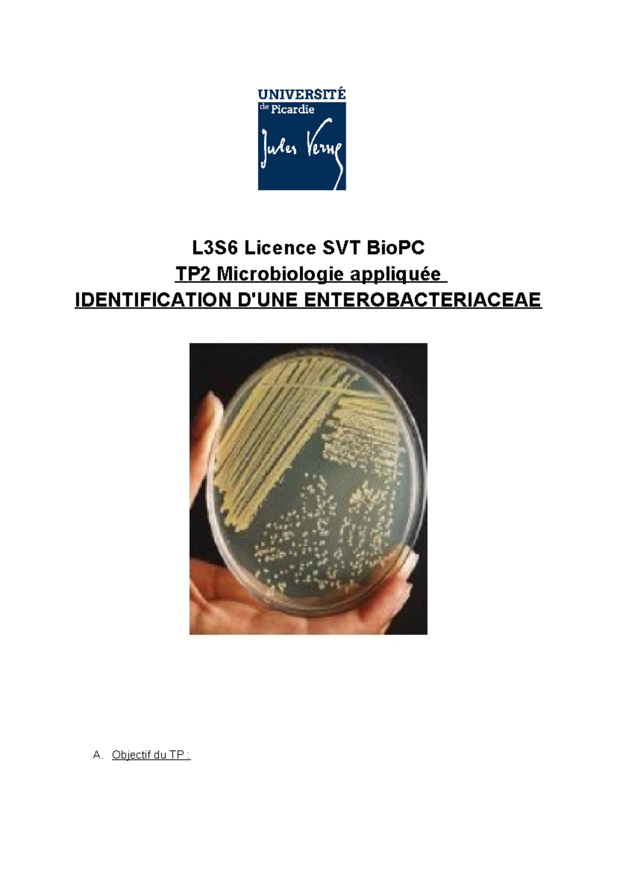 TP microbio 2 - L3S6 Licence SVT BioPC TP2 Microbiologie appliquée IDENTIFICATION D'UNE - Studocu