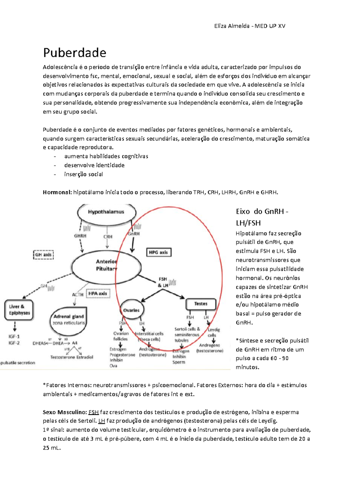 Puberdade - aula sobre desenvolvimento puberal - Puberdade Adolescência ...