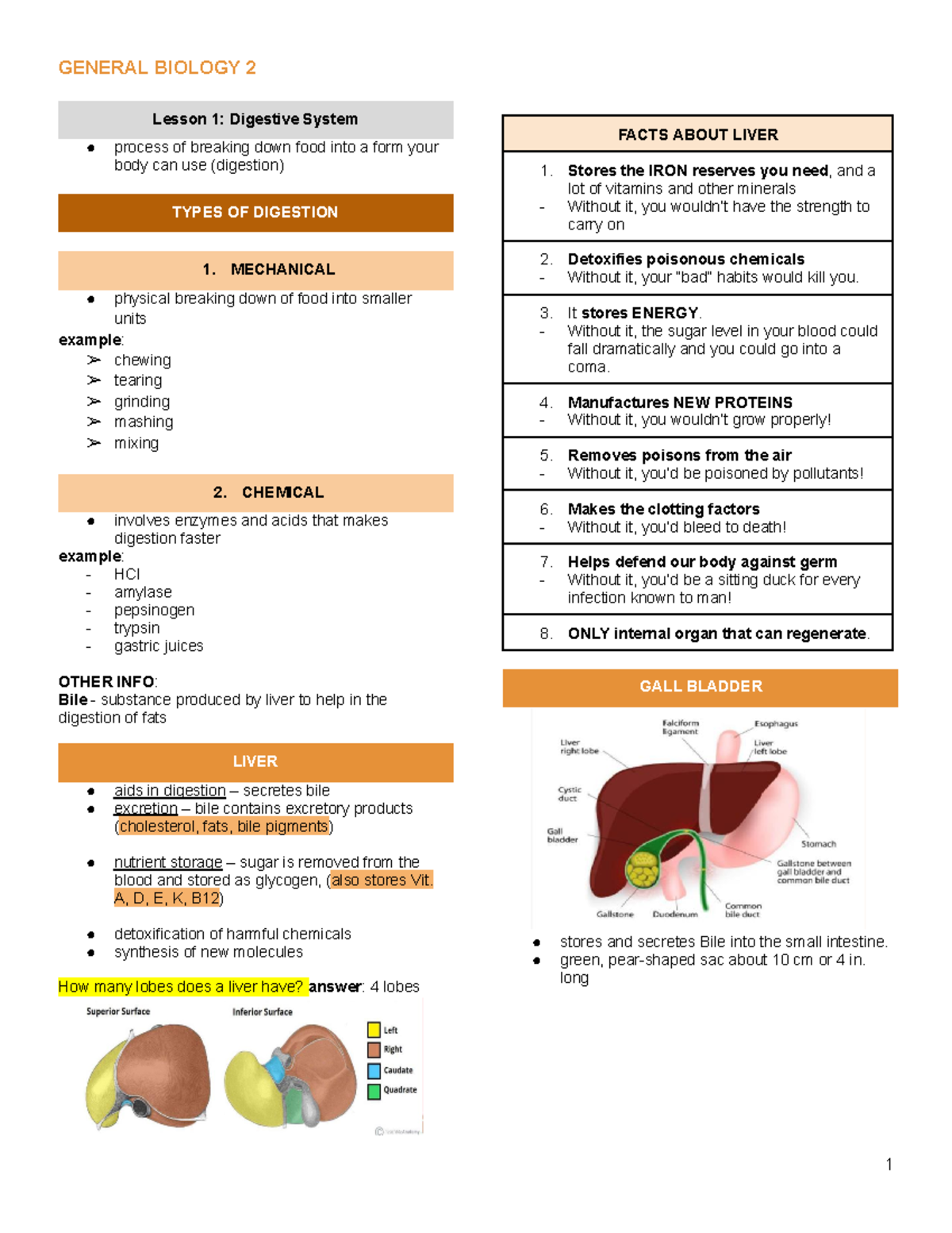 Digestive System - Lesson 1: Digestive System process of breaking down ...