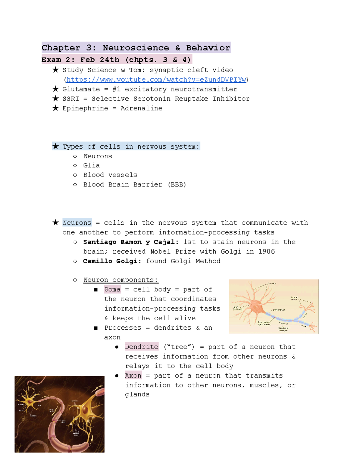 PSY Chapter 3 Neuroscience - Chapter 3: Neuroscience & Behavior Exam 2 ...
