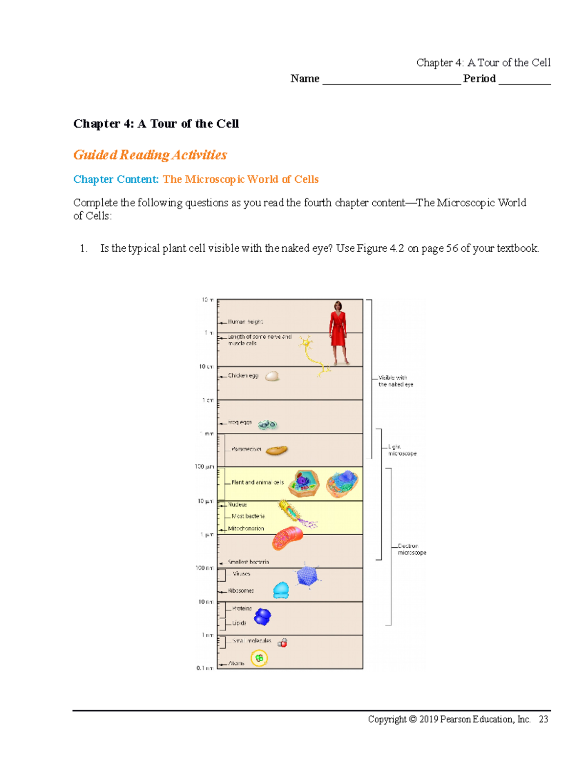 Active Reading Guide Activity 04 - Name ________________________ Period _________ Chapter 4: A ...