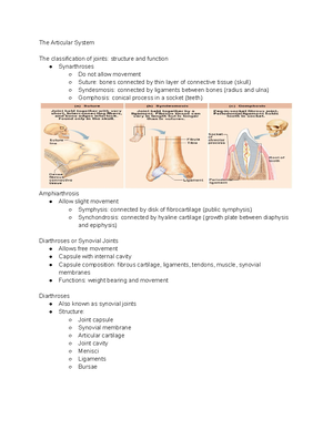 Chapter 7 - These notes are all about the skeletal system! - The ...