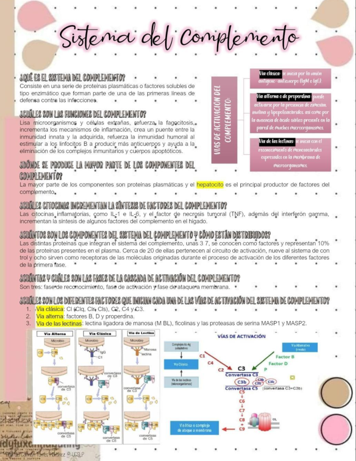 Sistema del complemento - Inmunologia - Studocu