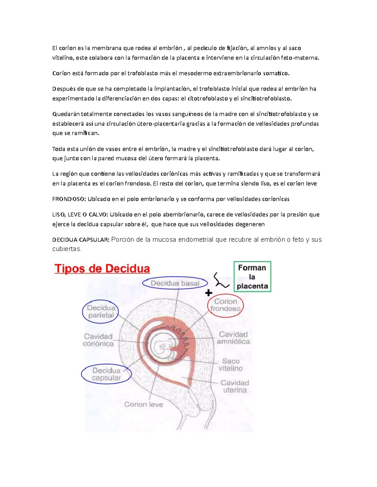 Corion Exposición - REPASO - El corion es la membrana que rodea al ...
