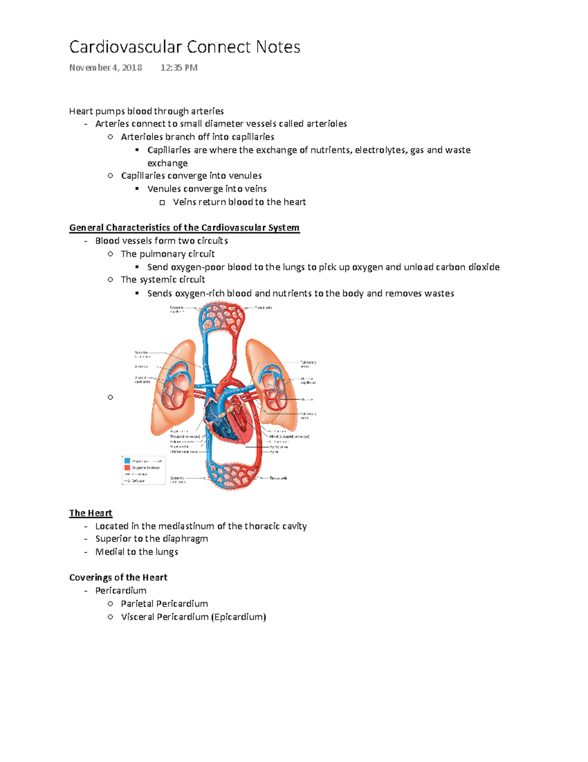 Cardiovascular System Notes - Cardiovascular Connect Notes November 4 ...