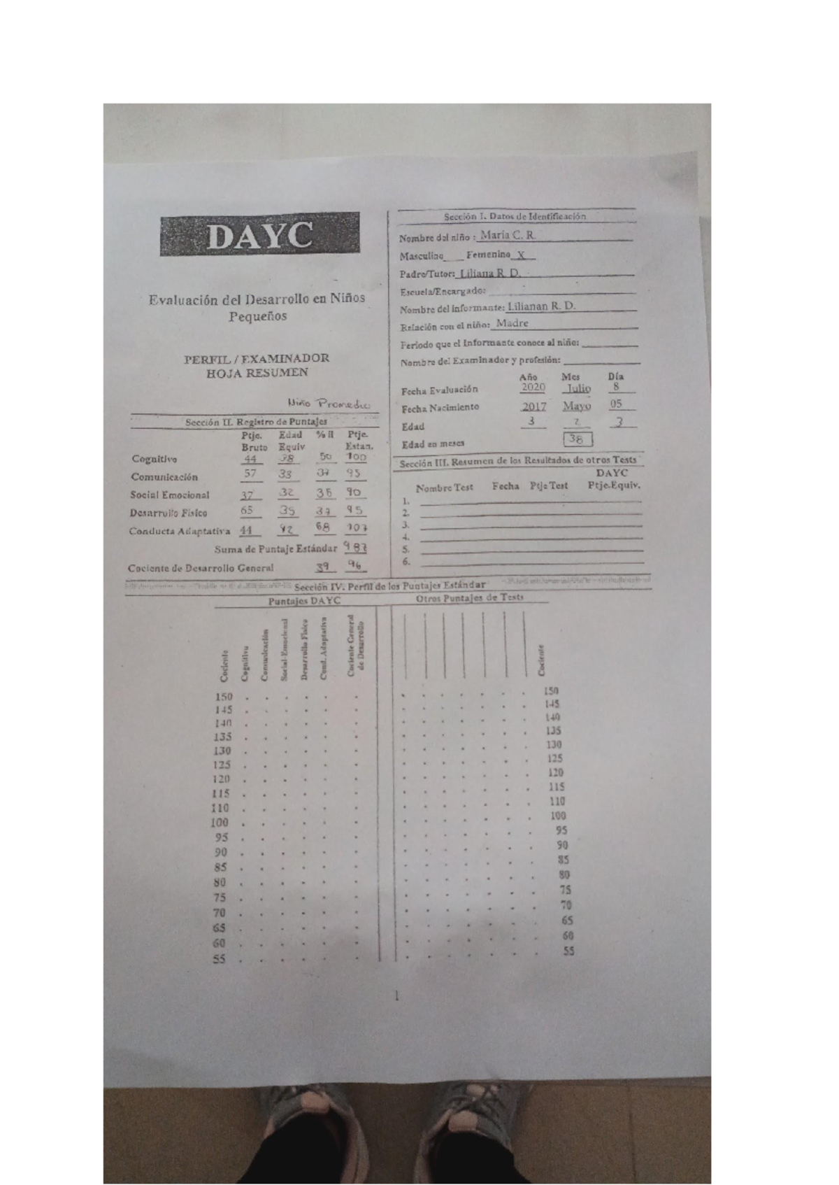 Prueba de Dayc - ... - Sección I. Datos de Identificación DAYC Nombre ...