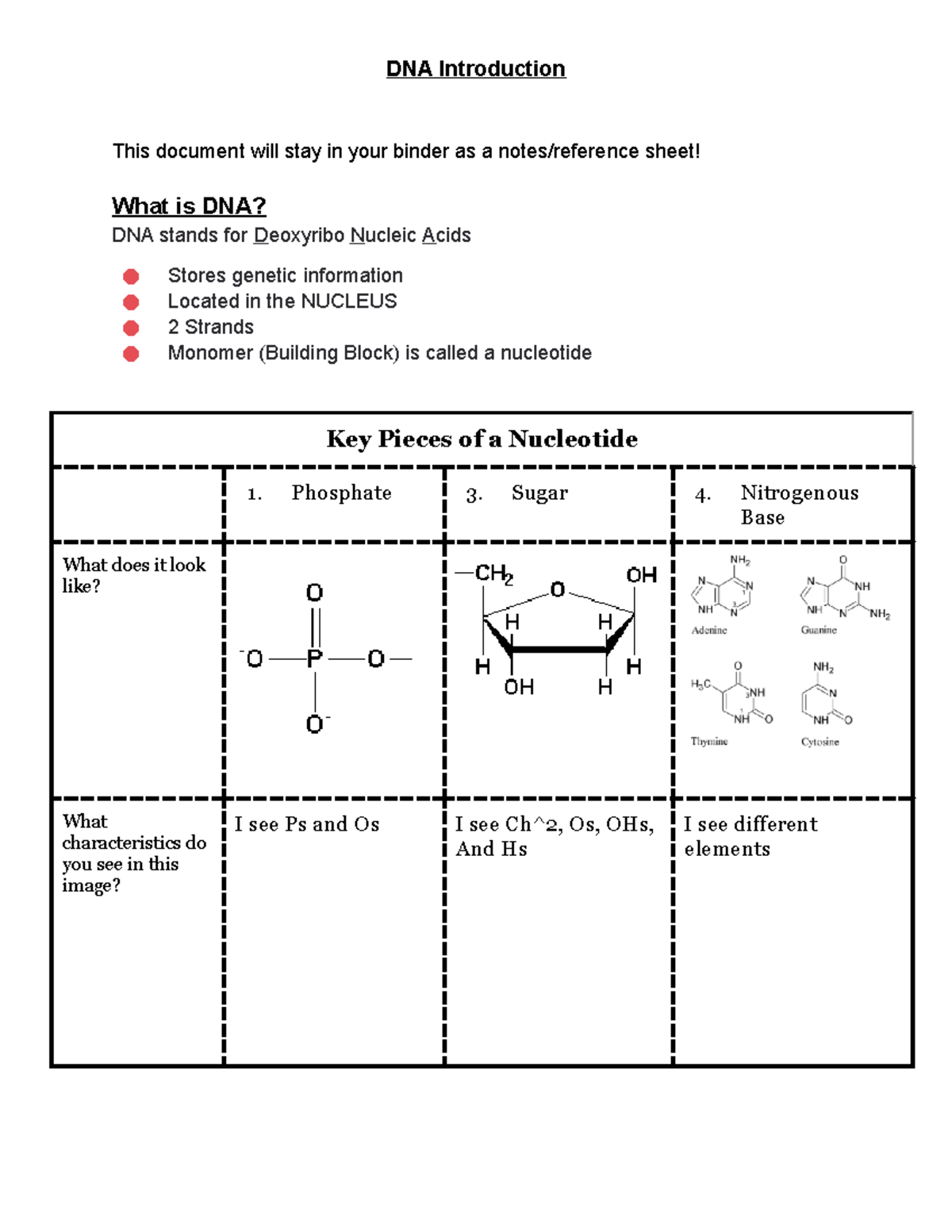Copy of Copy of DNA Introduction Notes - DNA Introduction This document ...