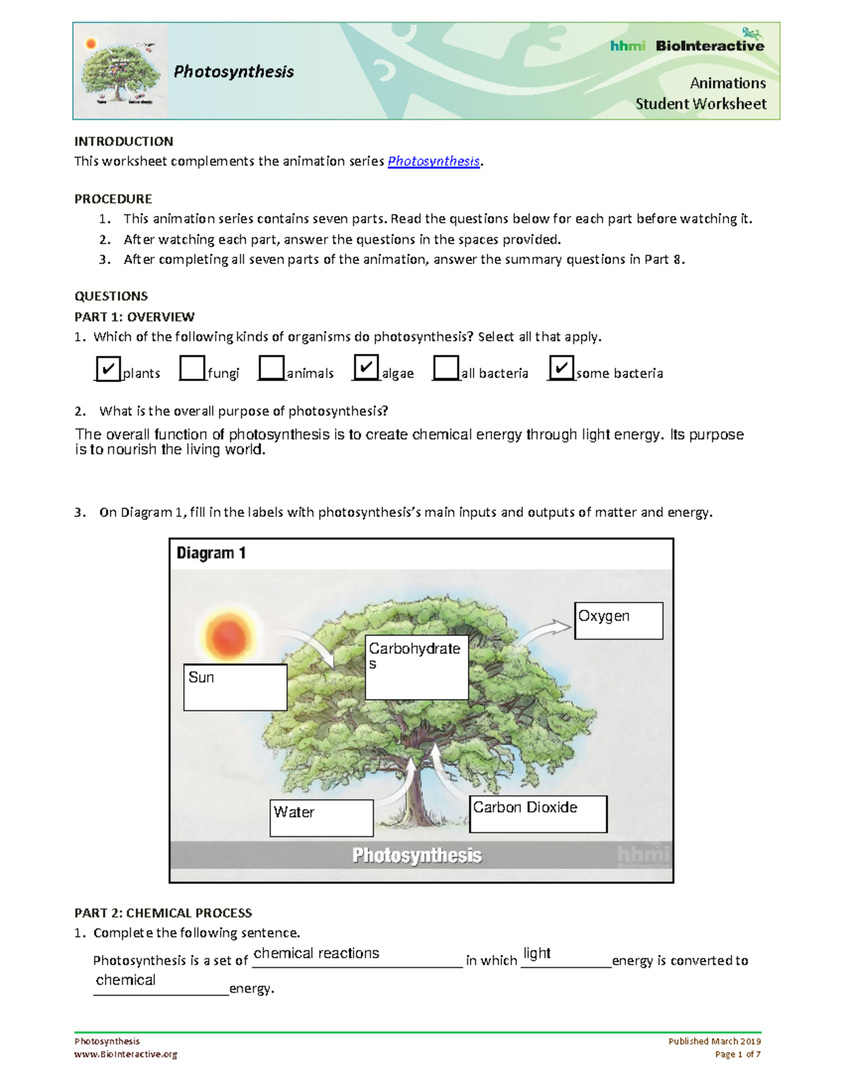 ICA- HHMI Photosynthesis - Photosynthesis Published March 2019 ...