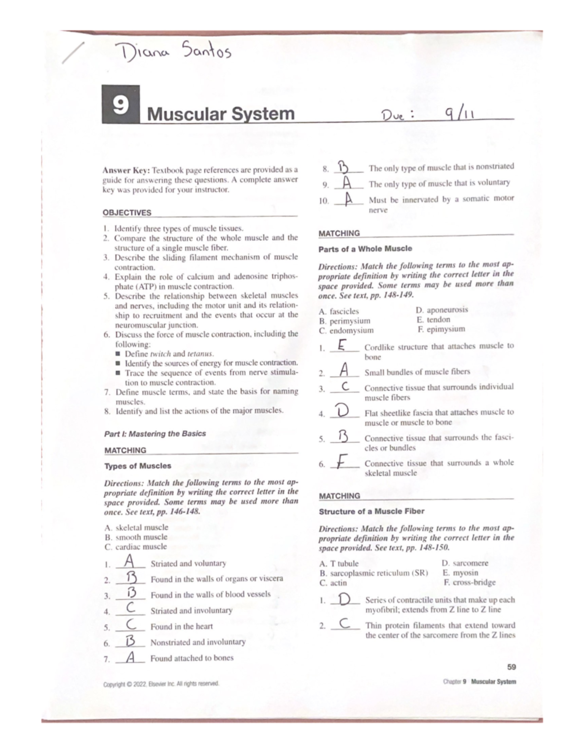 Chapter 9- Muscular - Studocu