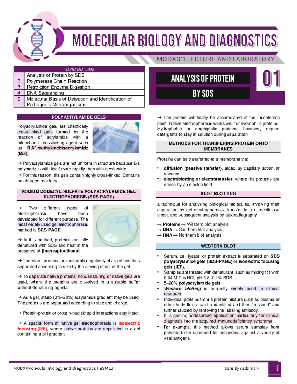 MODX Molbio ( Finals) Transes - ####### POLYACRYLAMIDE GELS ...
