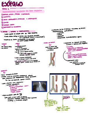 Repaso CUCI - Resumen Patología General II - Colitis ulcerosa crónica ...