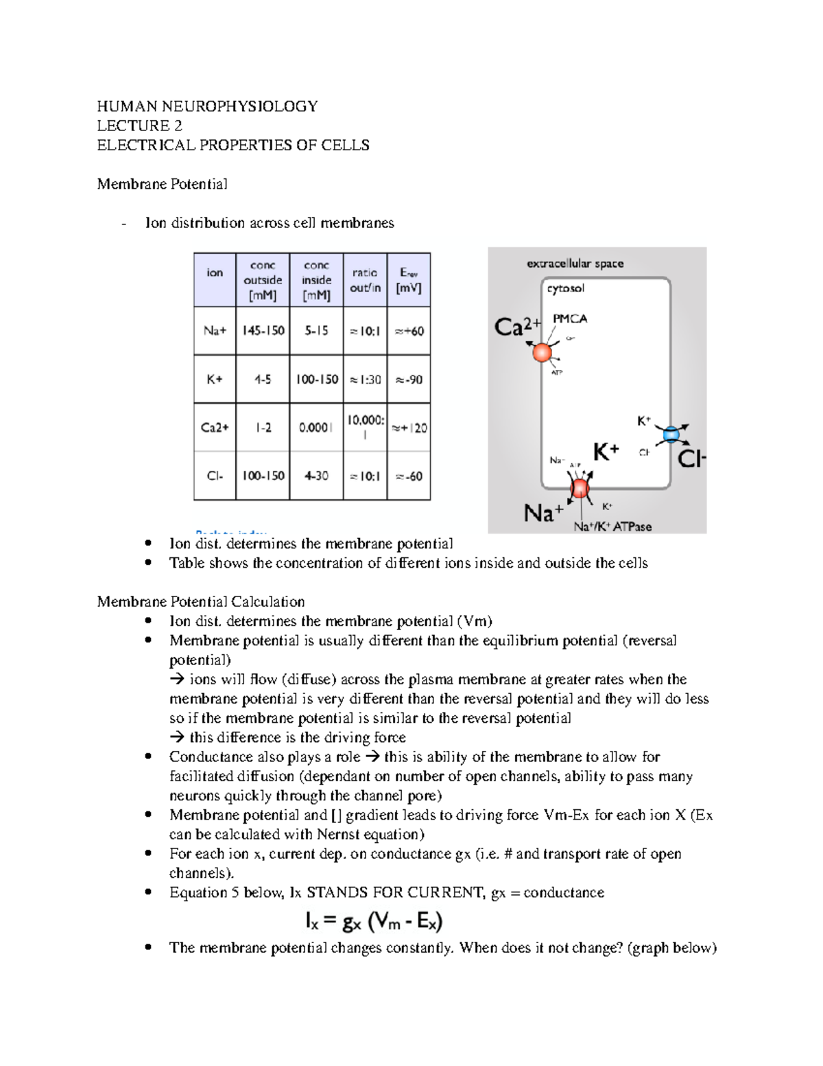 Lecture 2 - HUMAN NEUROPHYSIOLOGY LECTURE 2 ELECTRICAL PROPERTIES OF ...