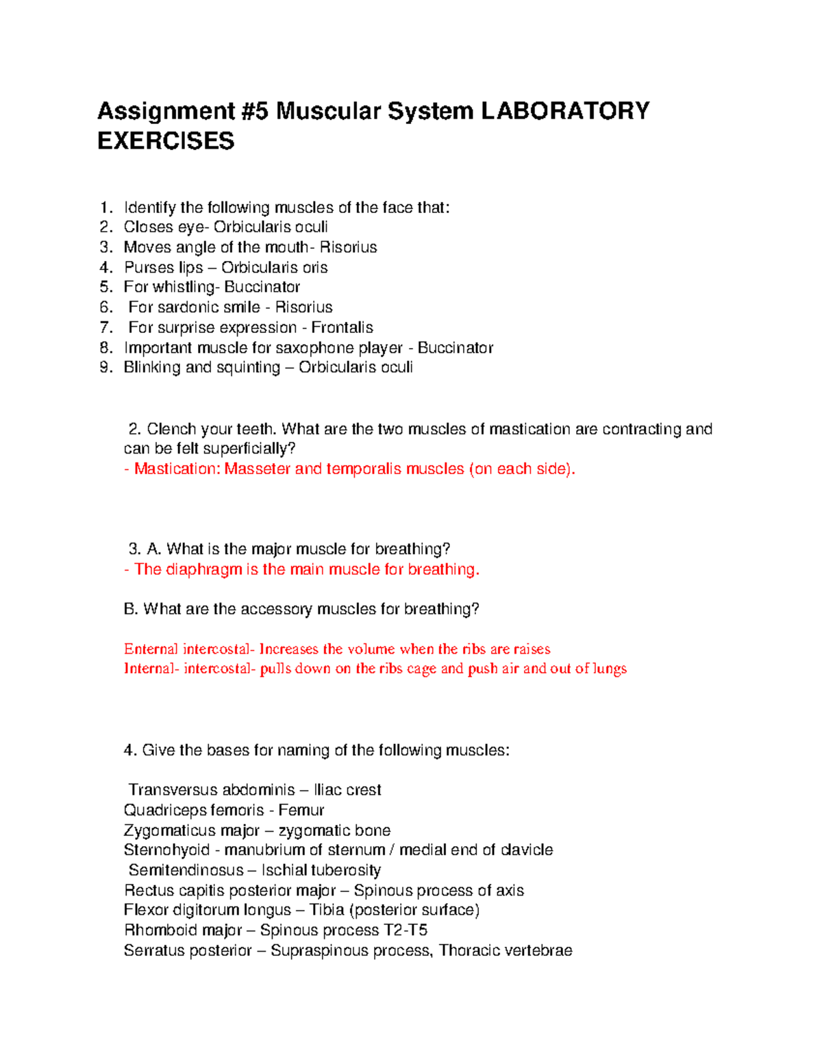 Assignment 4 Muscular system Del Carmen, Dexter R - Assignment #5 ...