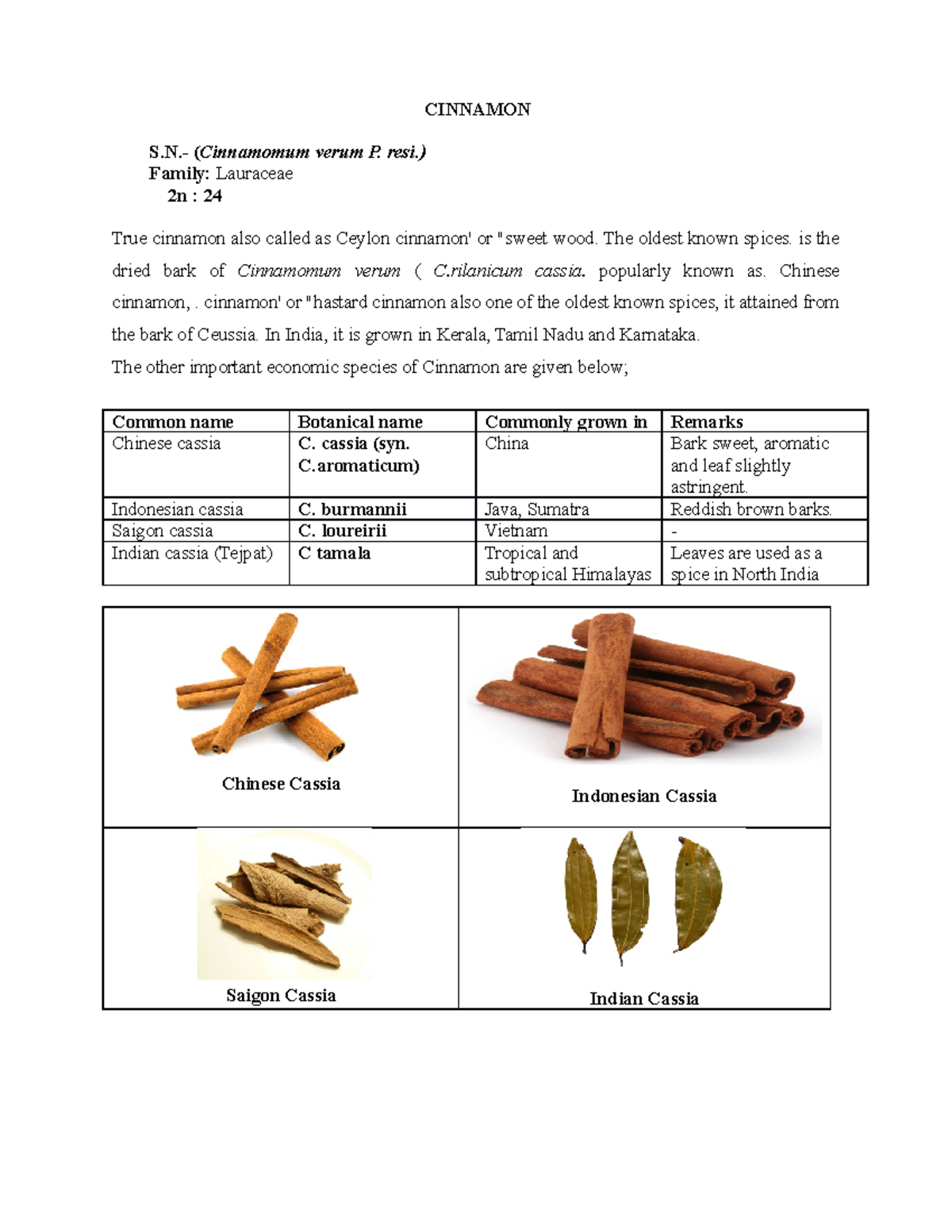 Cinnamon horti sem3 - CINNAMON S.- (Cinnamomum verum P. resi.) Family ...