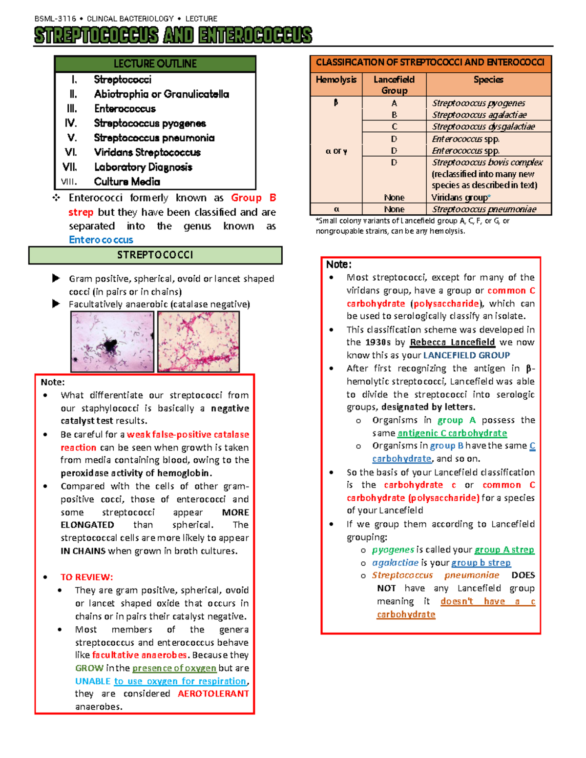 Streptococci AND Enterococci - ####### LECTURE OUTLINE I. Streptococci ...