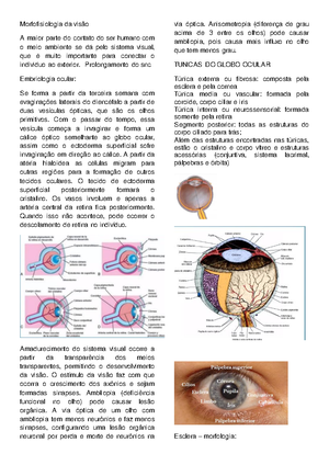 Histologia - TGI - Histologia O plexo de Meissner, também conhecido ...