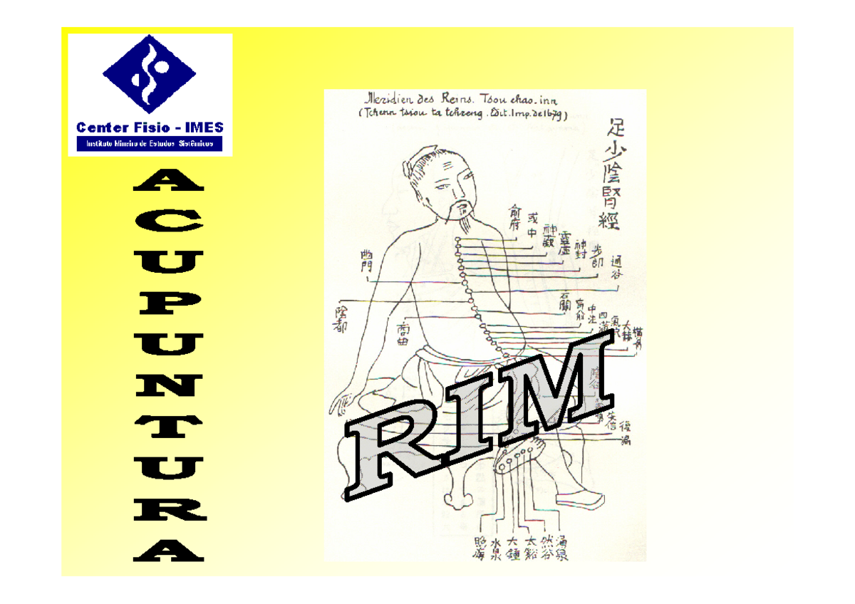 17 - Rim - ACUPUNTURA - MERIDIANO DO RIMMERIDIANO DO RIM ...