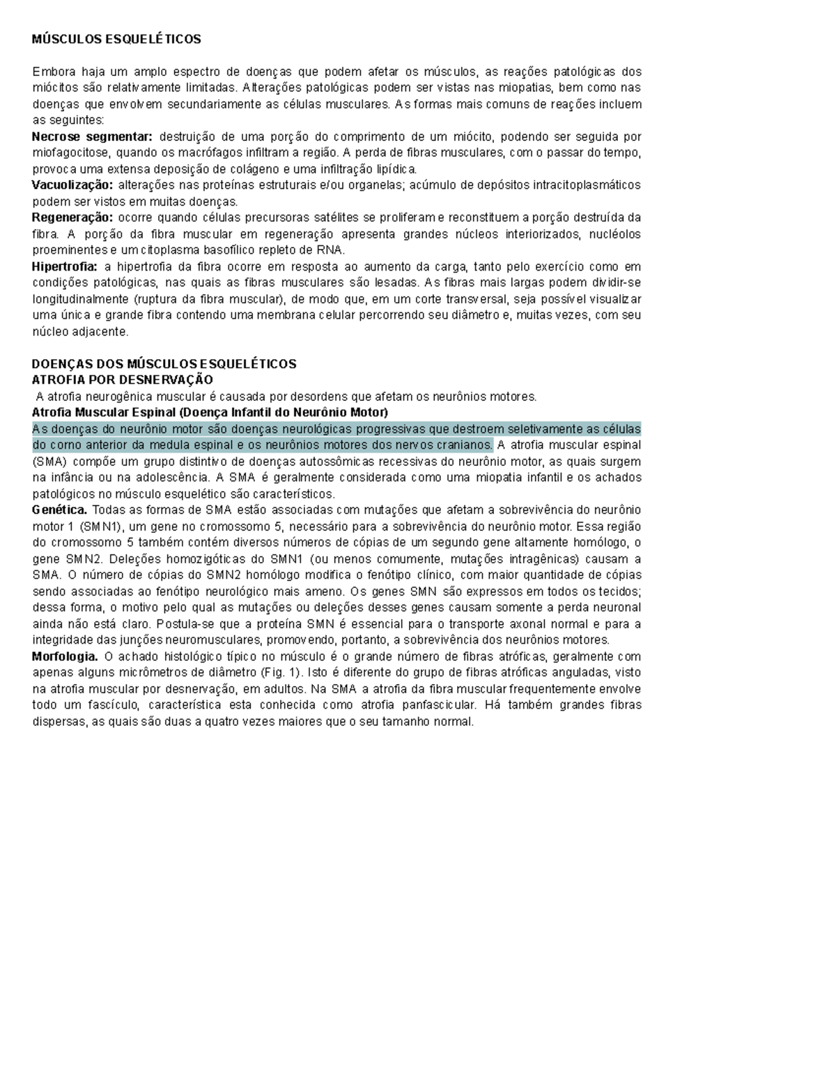 Resumo sp3- morfo - Documentos Google - MÚSCULOS ESQUELÉTICOS Embora haja um amplo espectro de ...