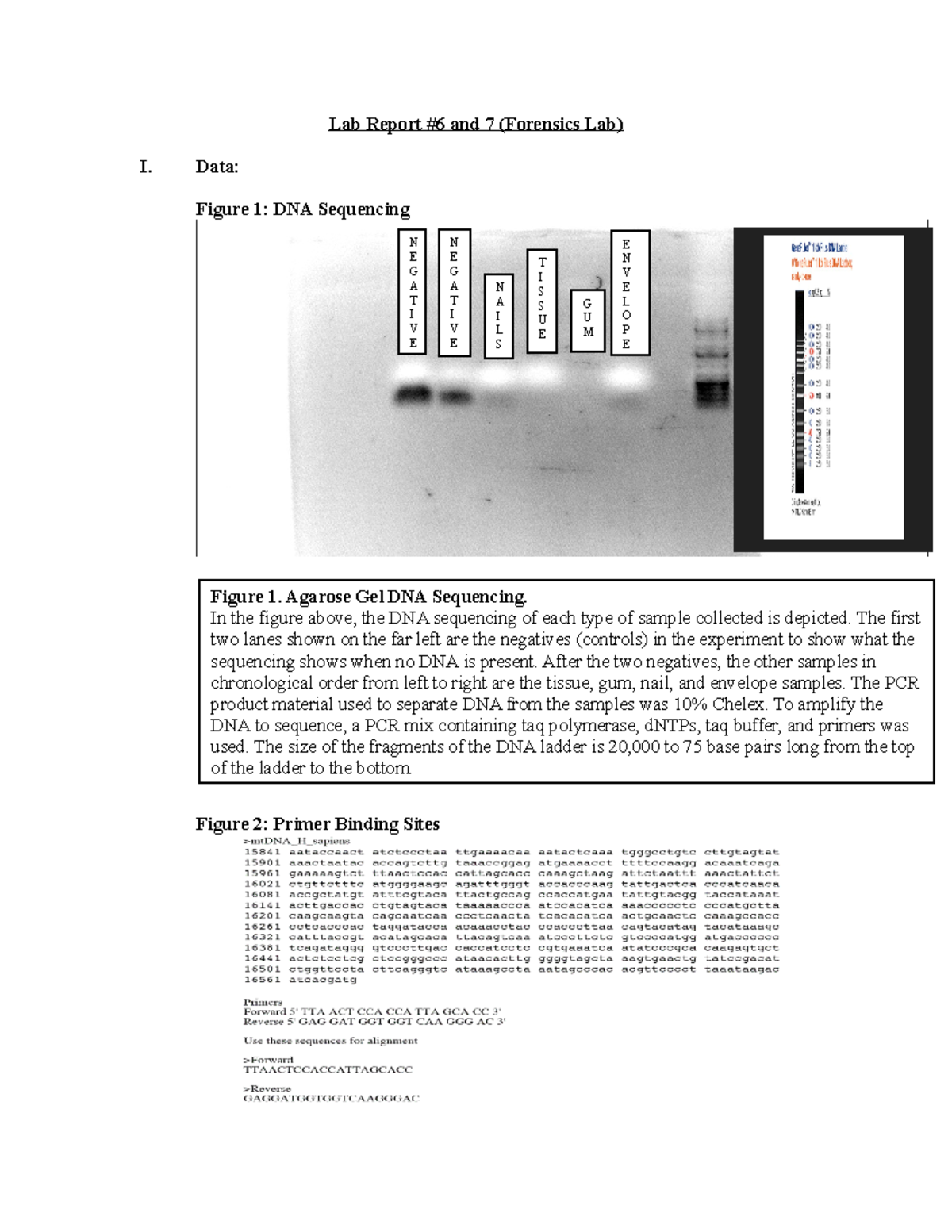 Forensics Lab Results - Lab Report #6 and 7 (Forensics Lab) I. Data ...
