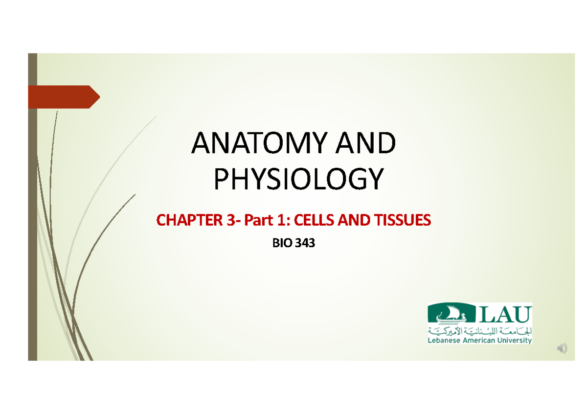 Chapter 3-part 1 - DDD - ANATOMY AND PHYSIOLOGY CHAPTER 3- Part 1 ...