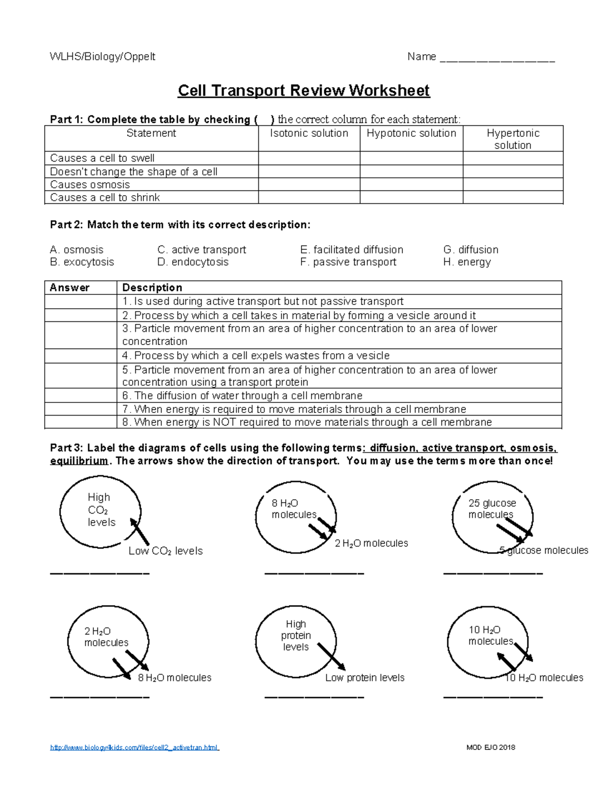 Handout - Cell Transport Review Worksheet - WLHS/Biology/Oppelt Name ...