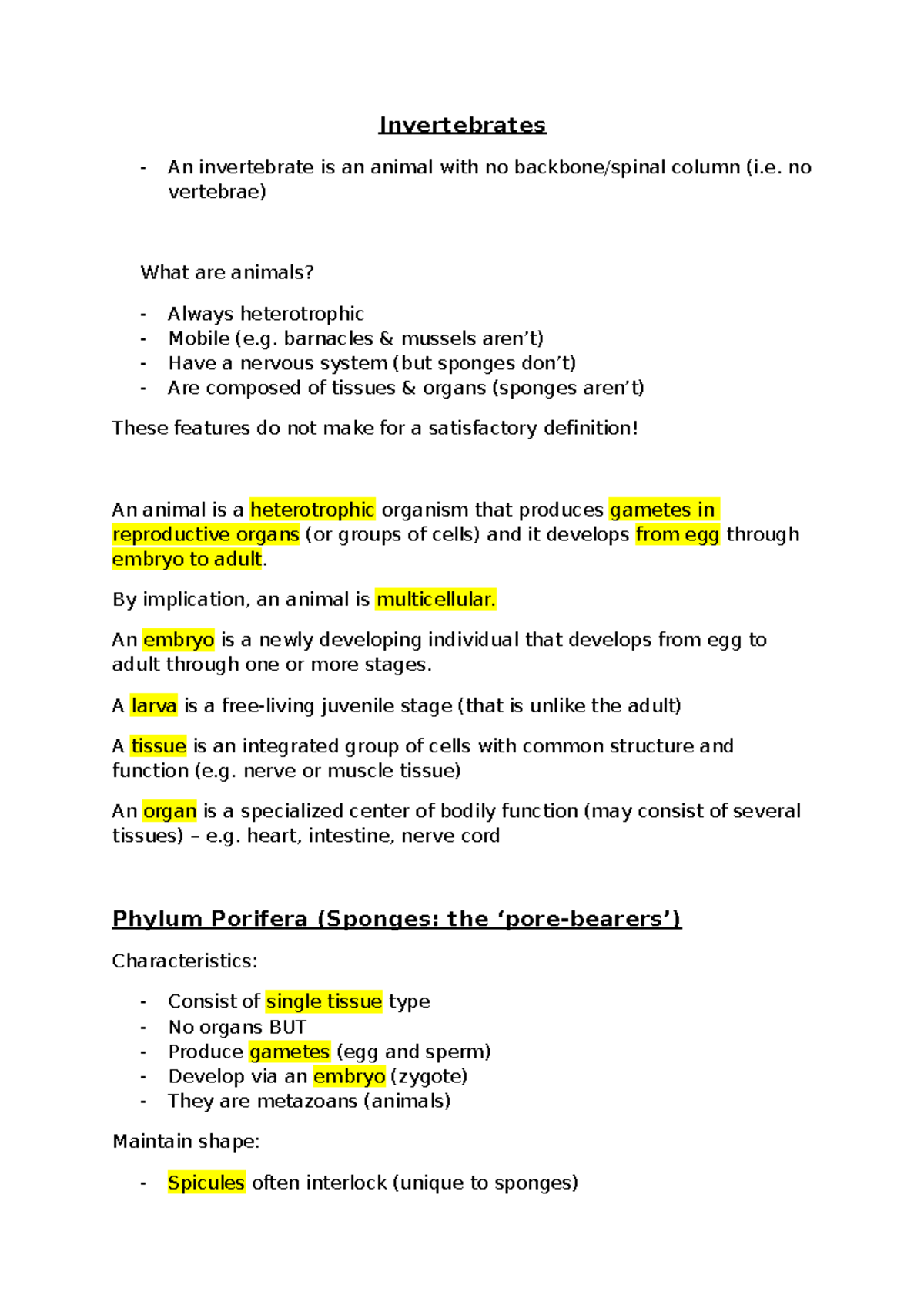 Invertebrates - Notes - Invertebrates An invertebrate is an animal with ...