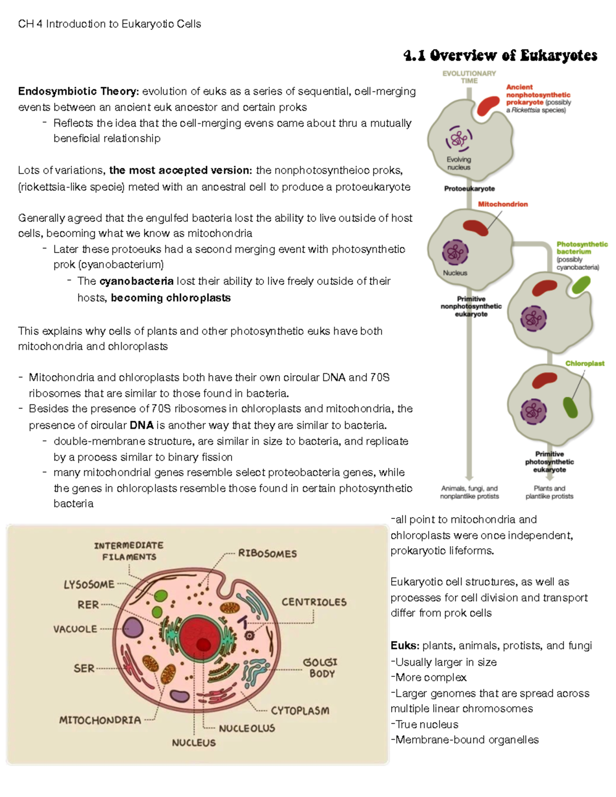 Ch 4 Eukaryotic - CH 4 Introduction to Eukaryotic Cells ####### 4 ...
