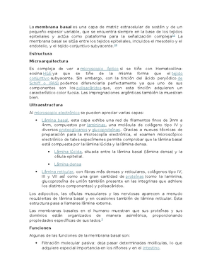 Mesodermo - ... - El mesodermo es una de las tres hojas embrionarias o ...